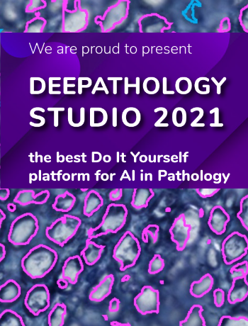 Exciting new features in the DeePathology STUDIO 2021 - Deepathology