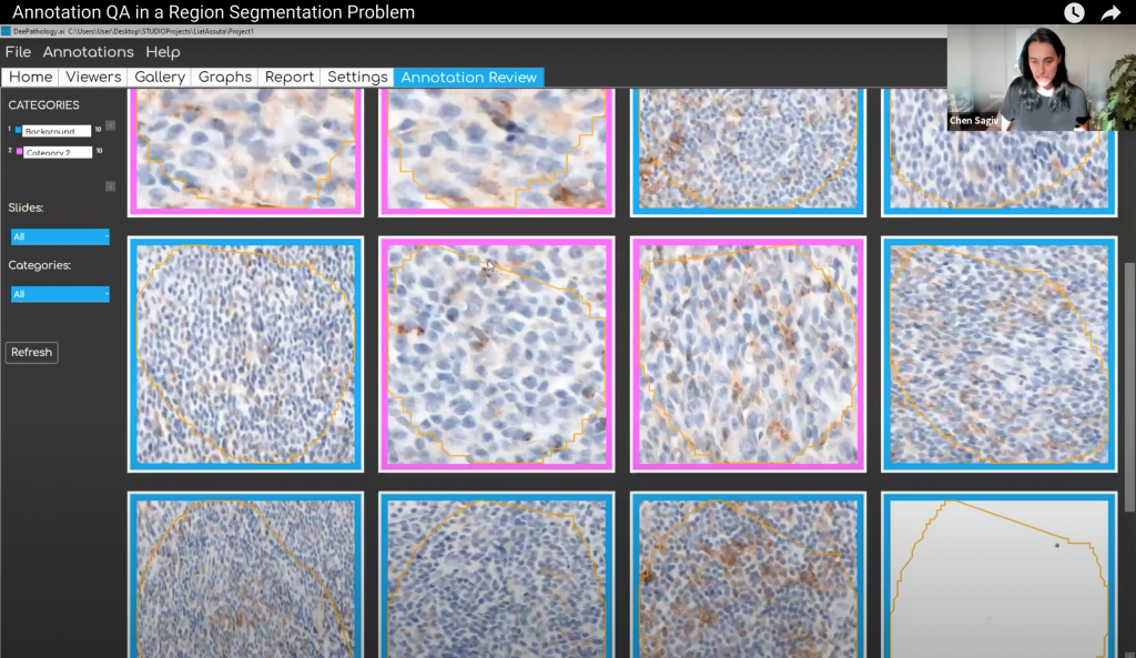 Annotation Review - Deepathology