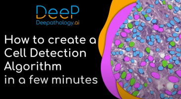 How to create a Cell Detection Algorithm on a few minutes - Deepathology
