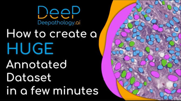 How to create a HUGE Annotated Dataset in a few minutes - Deepathology