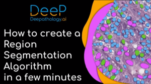 How to create a Region Segmentation Algorithm in a few minutes ...