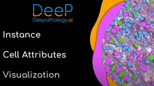 DeePathology® STUDIO Instance Cells Attributes Visualization - Deepathology