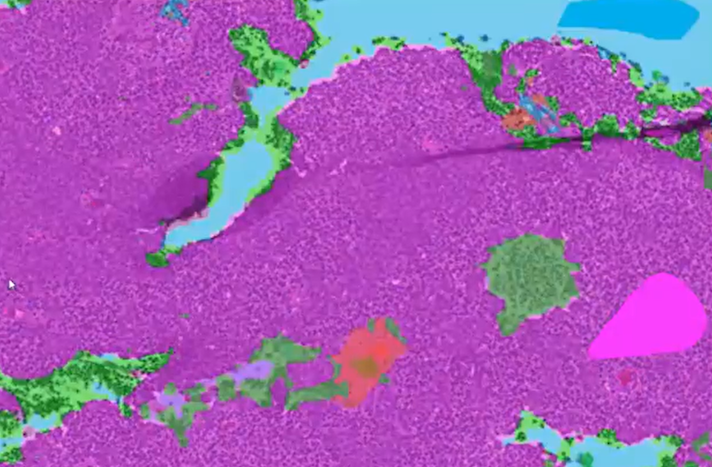 Exciting News to our STUDIO users! - Deepathology