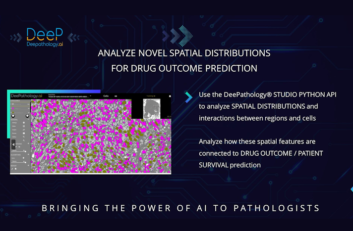 We are proud to unveil the DeePathology® STUDIO Python API! - Deepathology